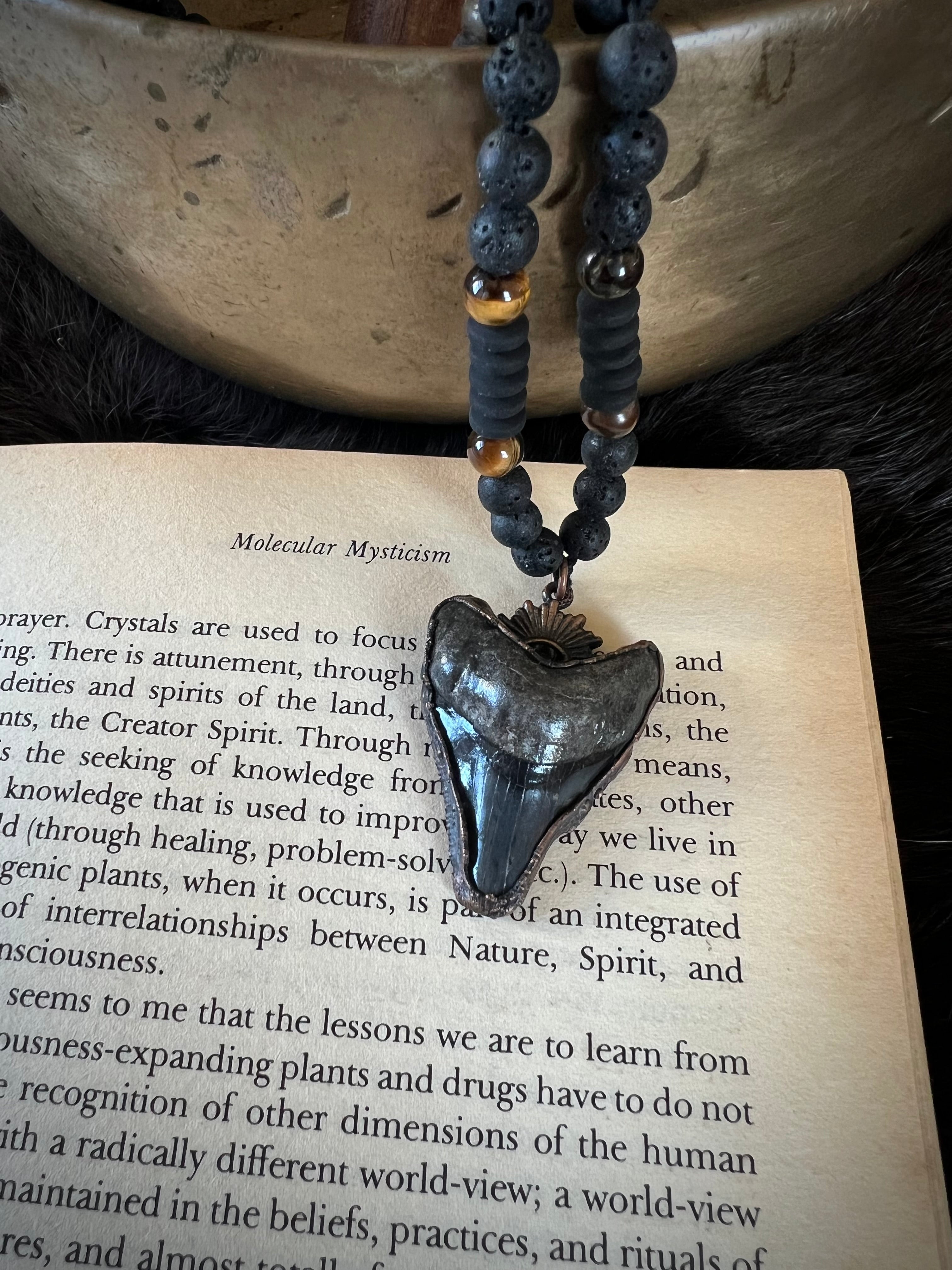 The Ancient Secrets Talisman // Megalodon Tooth – Ancient Future Designs